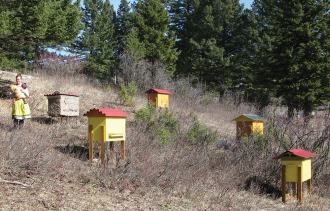 Voyage au Cœur des Abeilles: LA RUCHE LAYENS présentation complète et ...